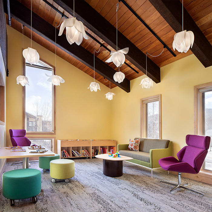 The Community Library Re-Imagined – Nicole Snyder Interiors